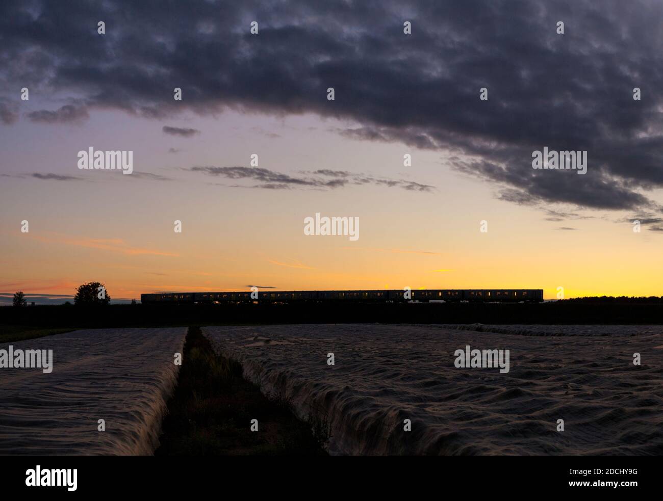 Northern electrics train hi-res stock photography and images - Alamy