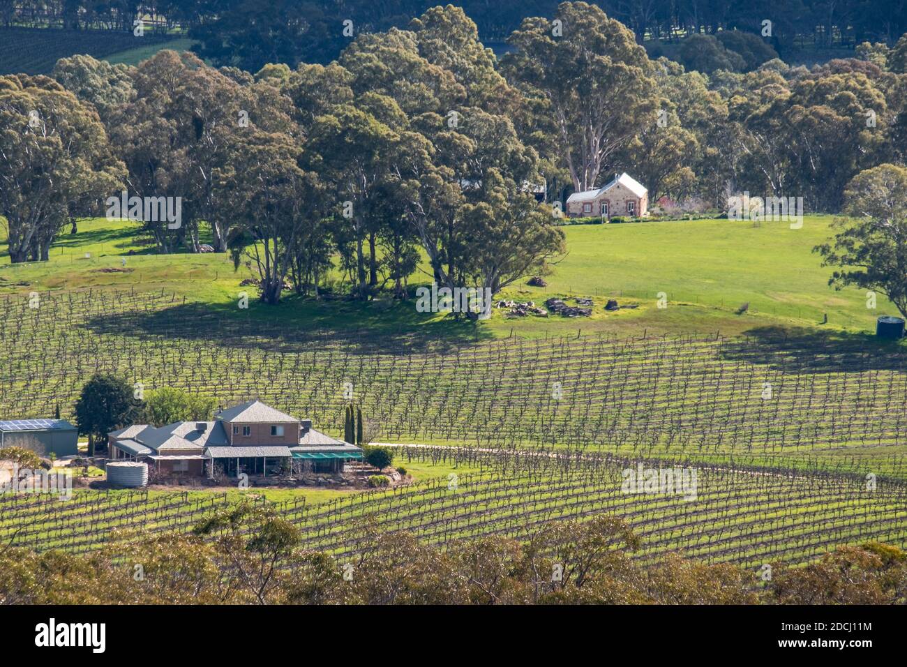 Wineries in the middle of the vineyards. Wine industry and traditional ...
