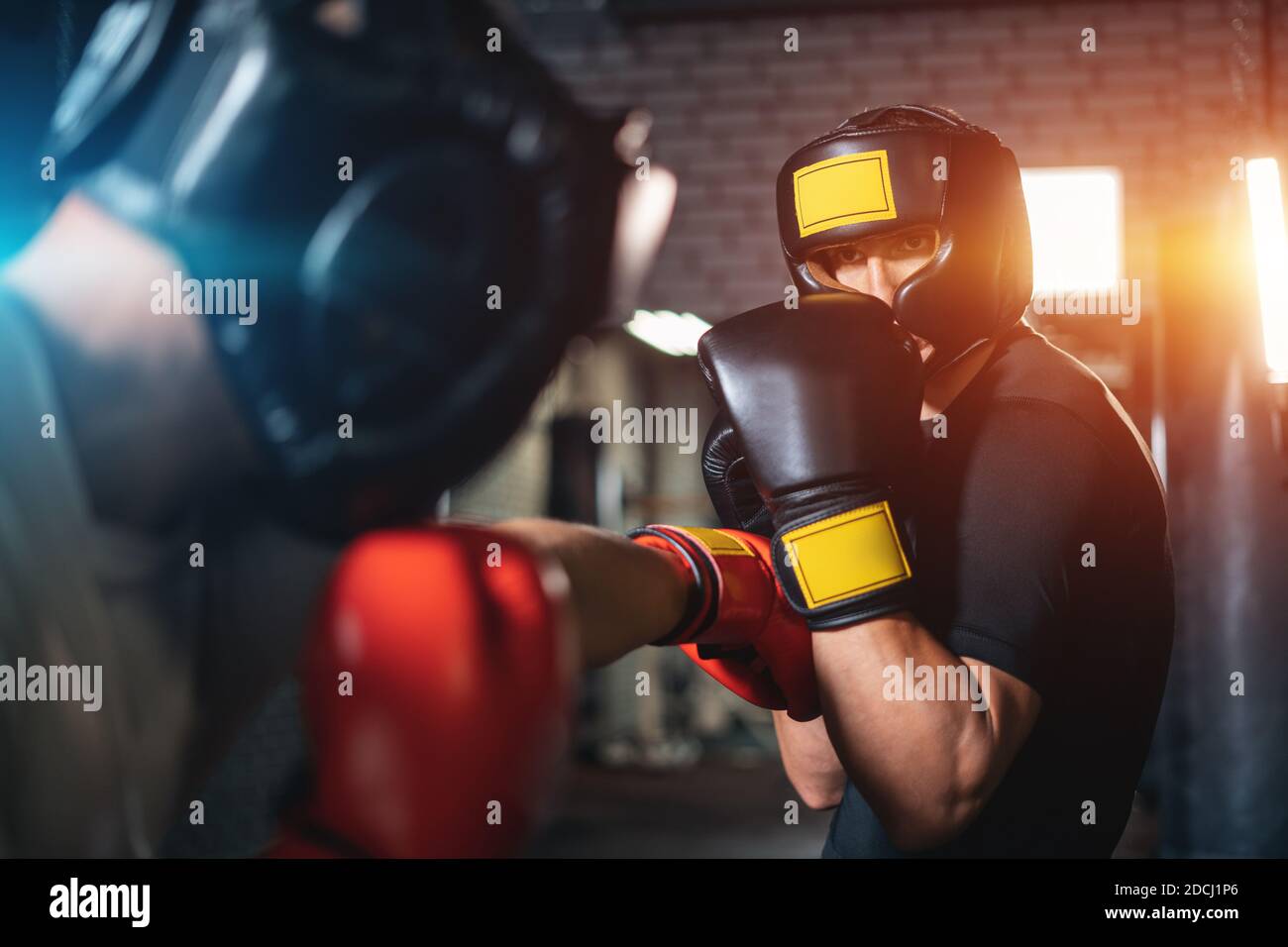 two muscle boxers sport man training and fighting on boxing ring at gym ...