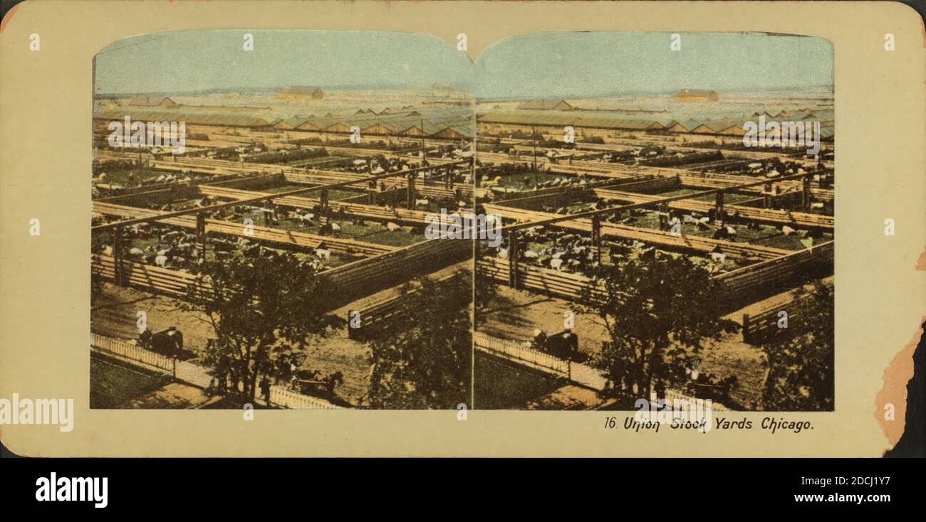 Union Stock Yards [stockyards], Chicago., still image, Stereographs ...