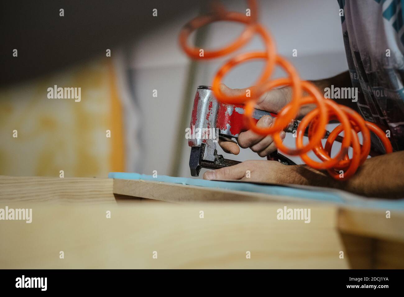 A closeup shot of a carpenter using an industrial stapler Stock Photo ...