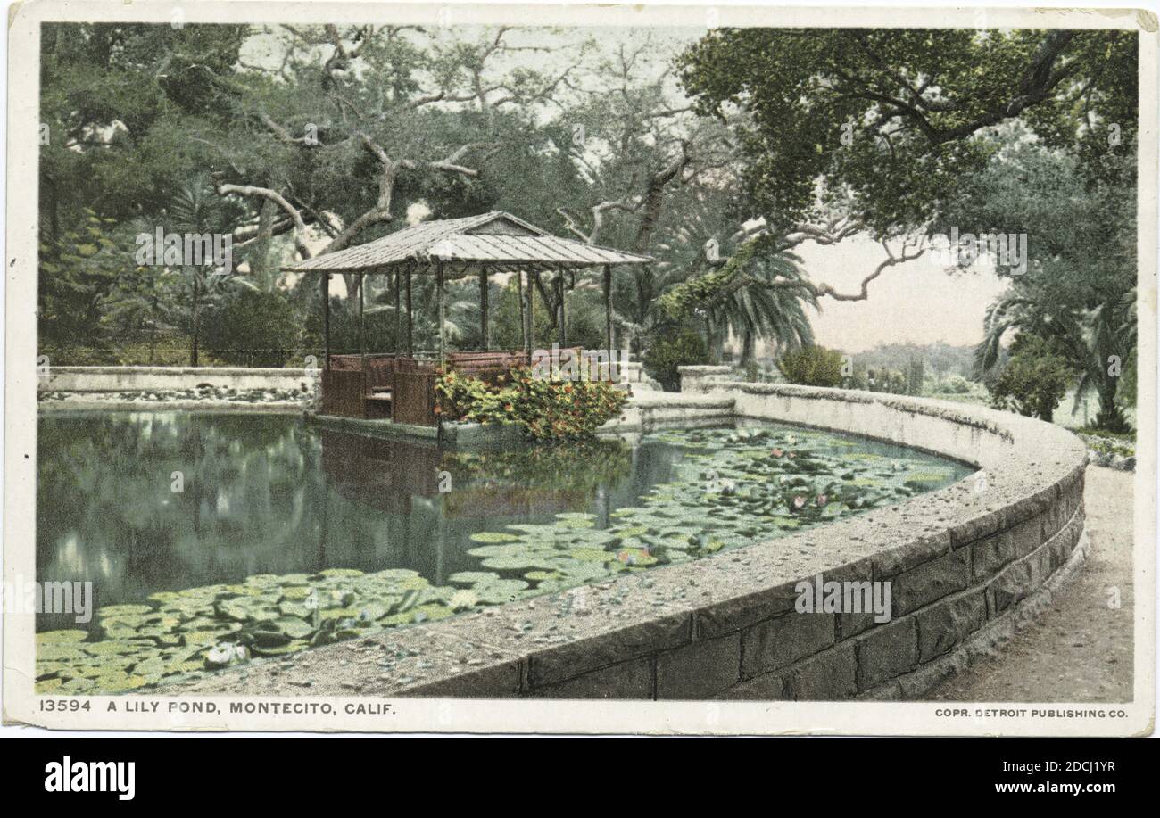 A Lily Pond, Montecito, Calif., still image, Postcards, 1898 - 1931 ...