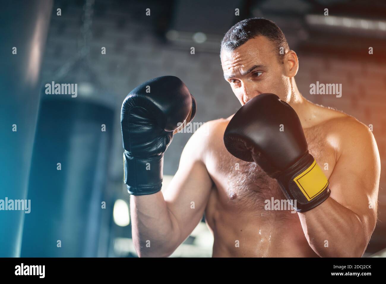 close up of muscular boxer male workout and training with punching bag ...