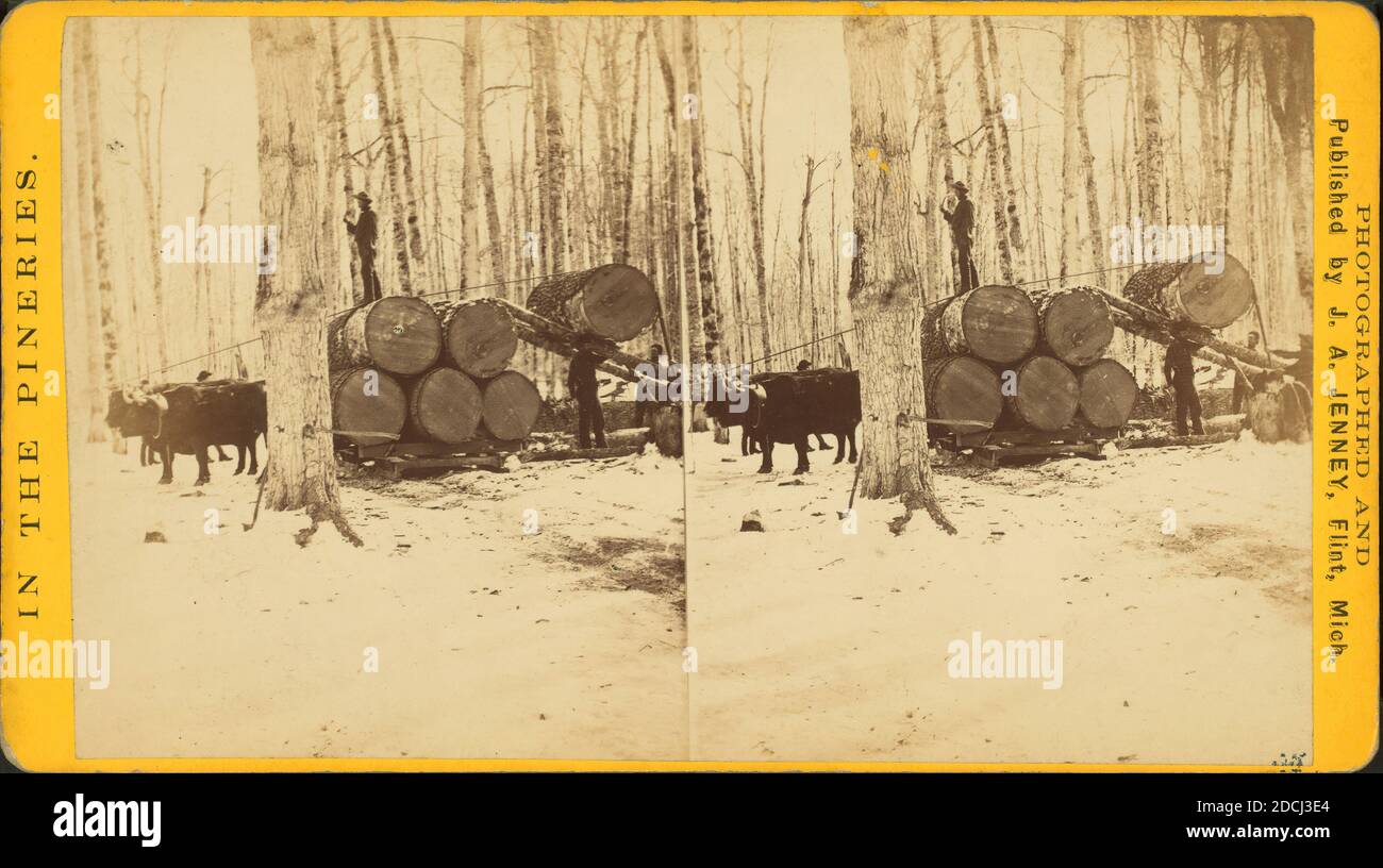 Loading at Thomas Poster's., still image, Stereographs, 1850 - 1930 ...
