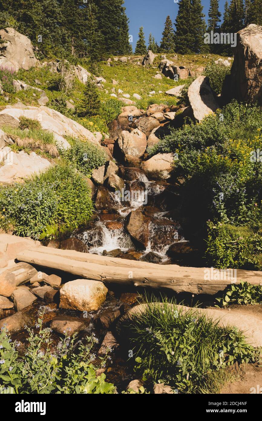 Log in front waterfall hi-res stock photography and images - Alamy