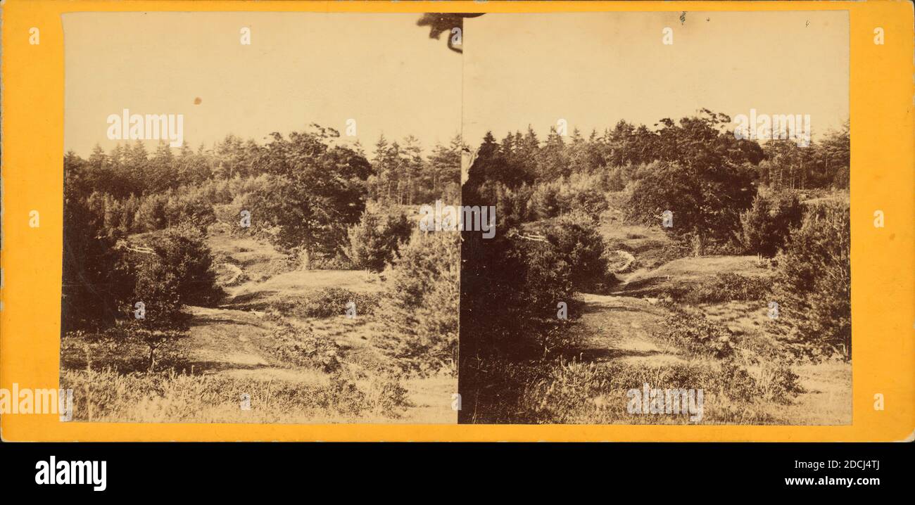 View from near side of the spring., still image, Stereographs, 1850 ...