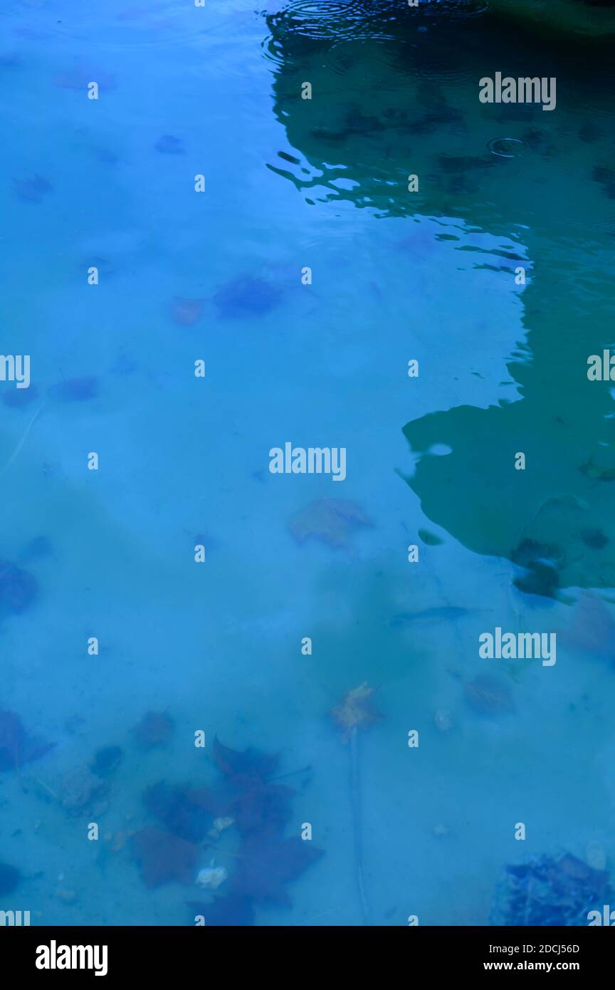 Water ripple effect hi-res stock photography and images - Alamy