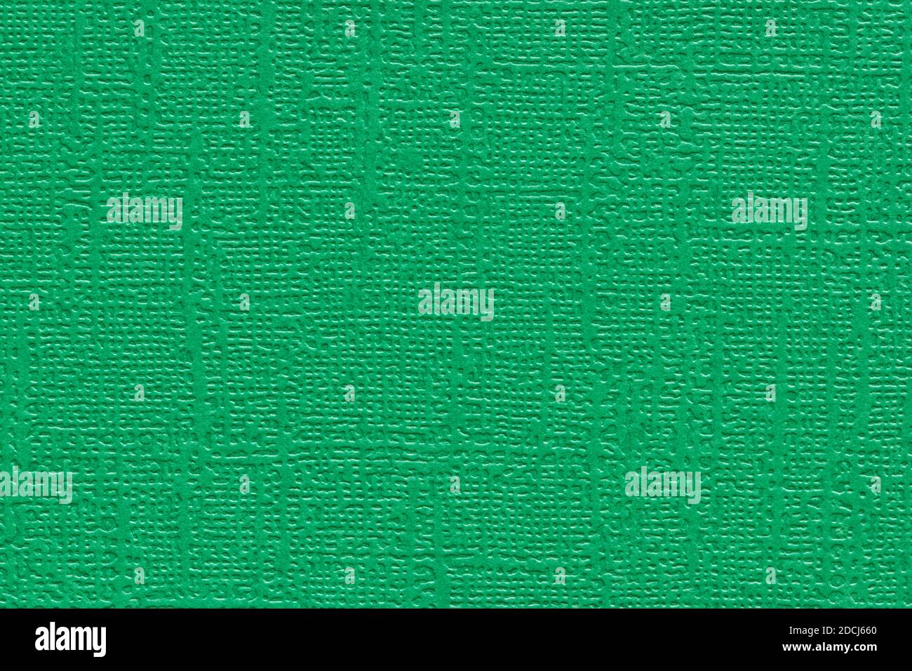 Plain Green Background