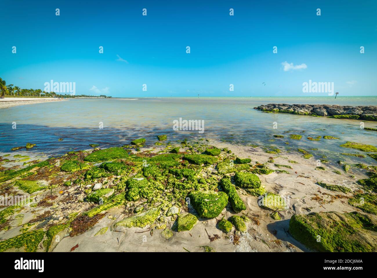 Key west shore hi-res stock photography and images - Alamy