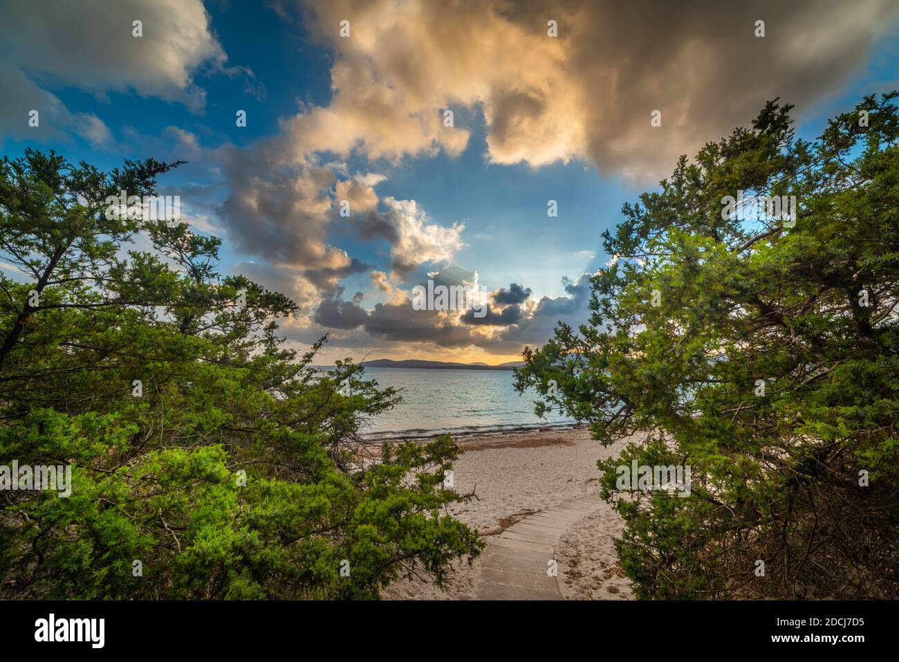 Path to the sea in Maria Pia beach at sunset. Sardinia, Italy Stock ...