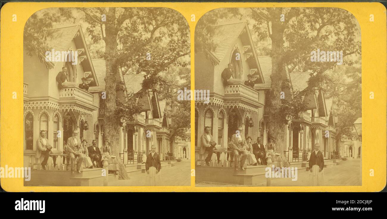 Group posed in front of a cottage., still image, Stereographs, 1850 ...