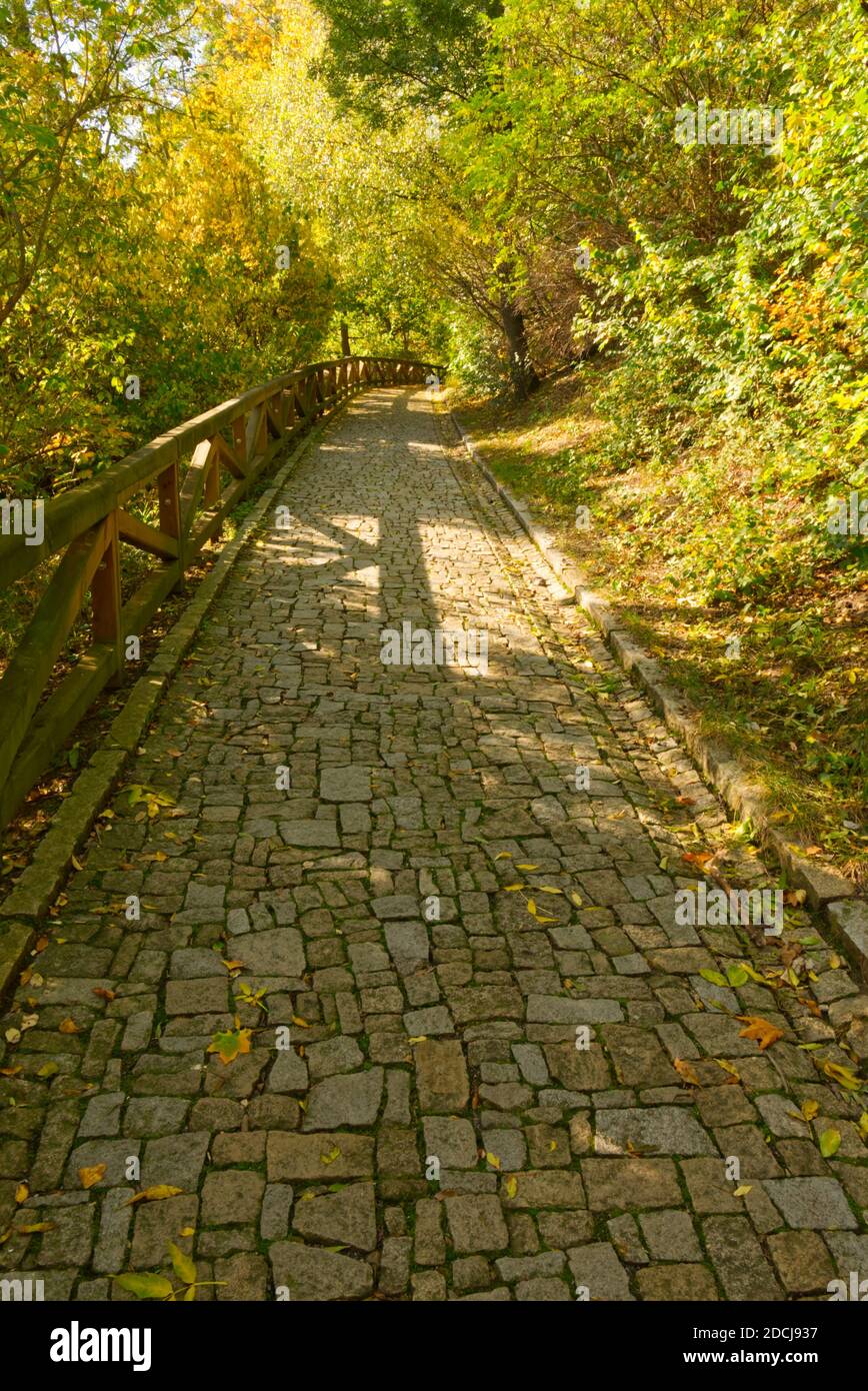 Public paved footpath in hi-res stock photography and images - Alamy