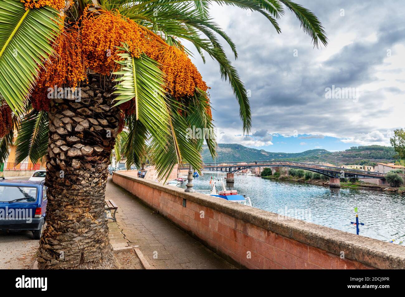 Palm trees by Temo river in Bosa riverwalk. Sardinia, Italy Stock Photo ...