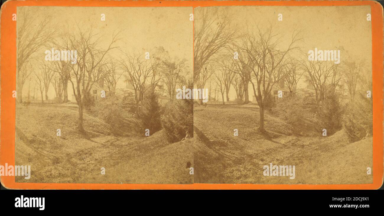 Through gorge from Mrs. Ware's., still image, Stereographs, 1850 - 1930 ...