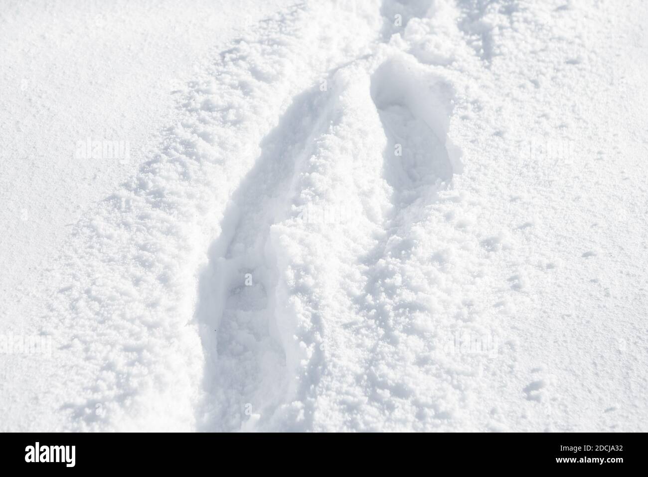 White snow winter texture with footprints. Christmas holiday light ...