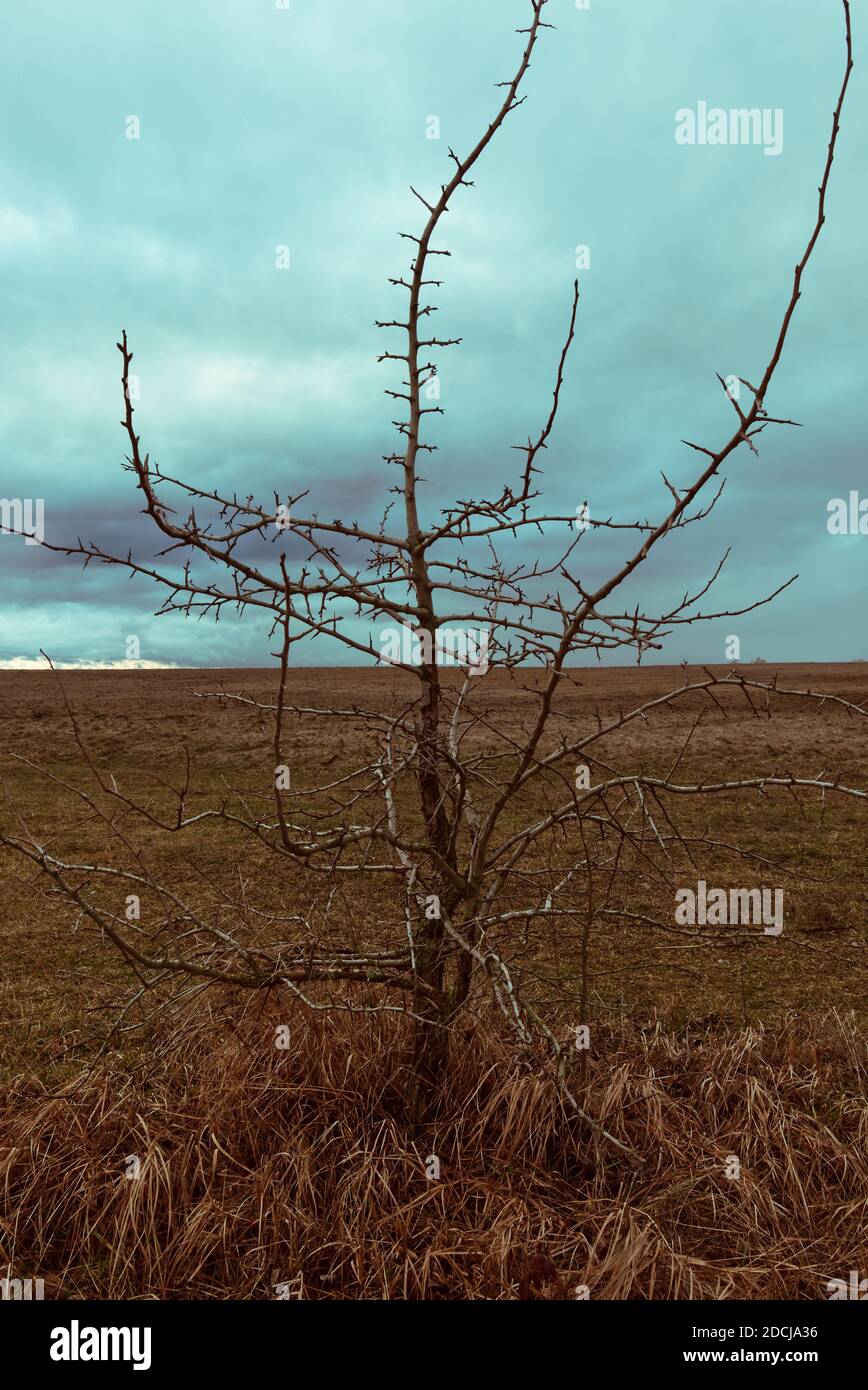 Ugly landscape hi-res stock photography and images - Alamy