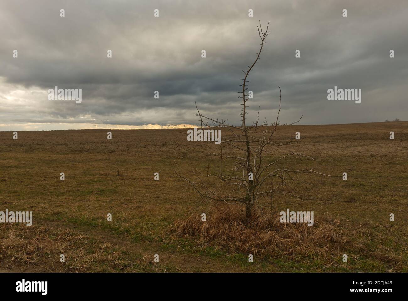 Ugly landscape hi-res stock photography and images - Alamy