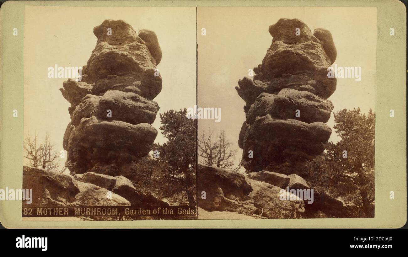 Mother Murhroom [Mushroom]. Garden of the Gods., still image ...