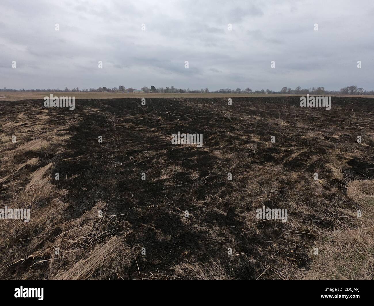 Burnt field. Place of environmental disaster. Moody landscape Stock ...