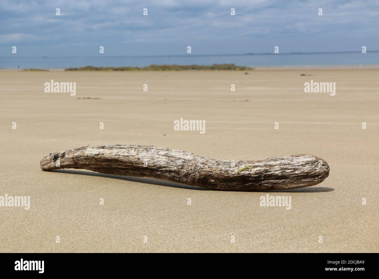 Wood on beach Stock Photo - Alamy