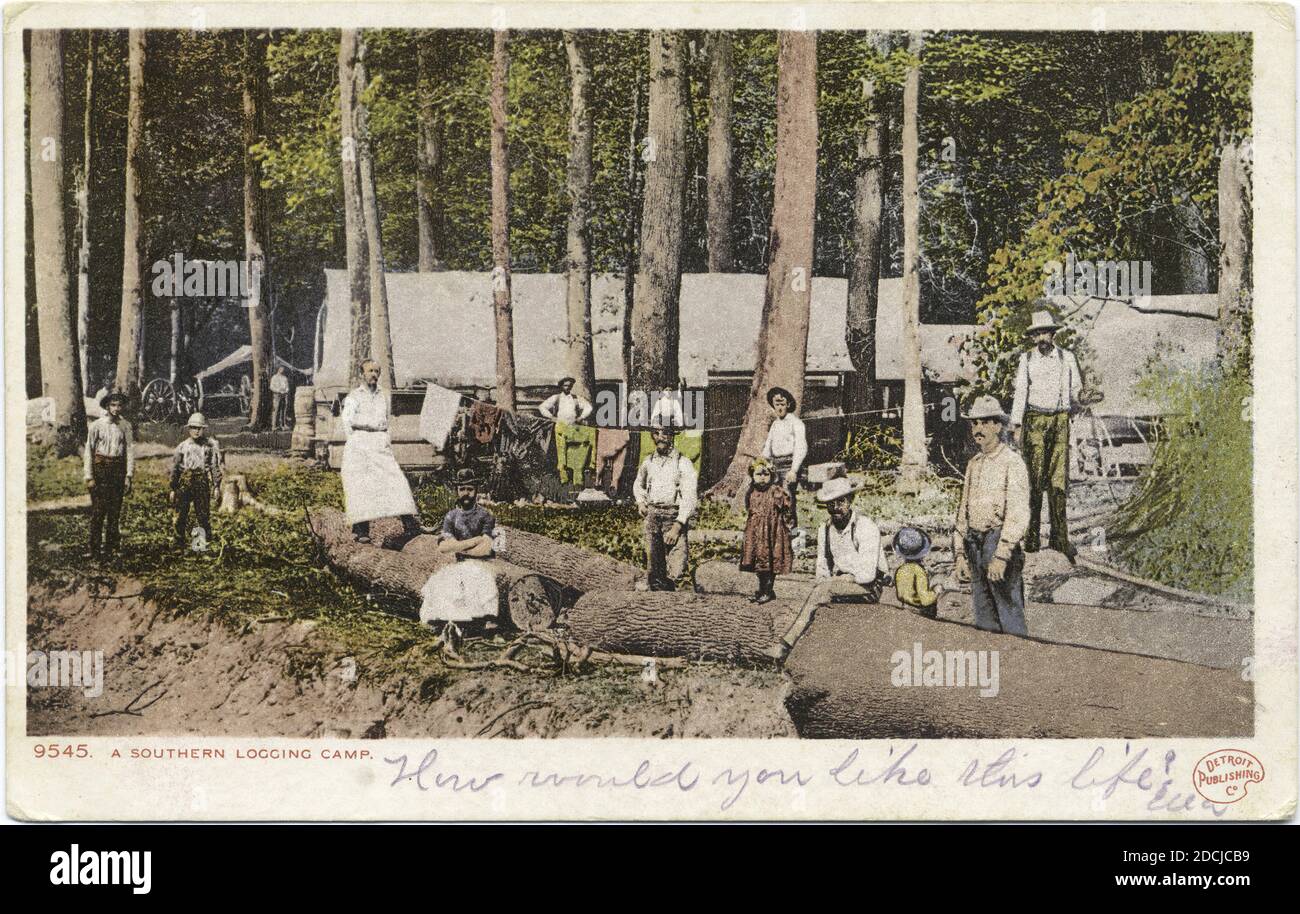 A Southern Logging Camp, South, still image, Postcards, 1898 - 1931 ...