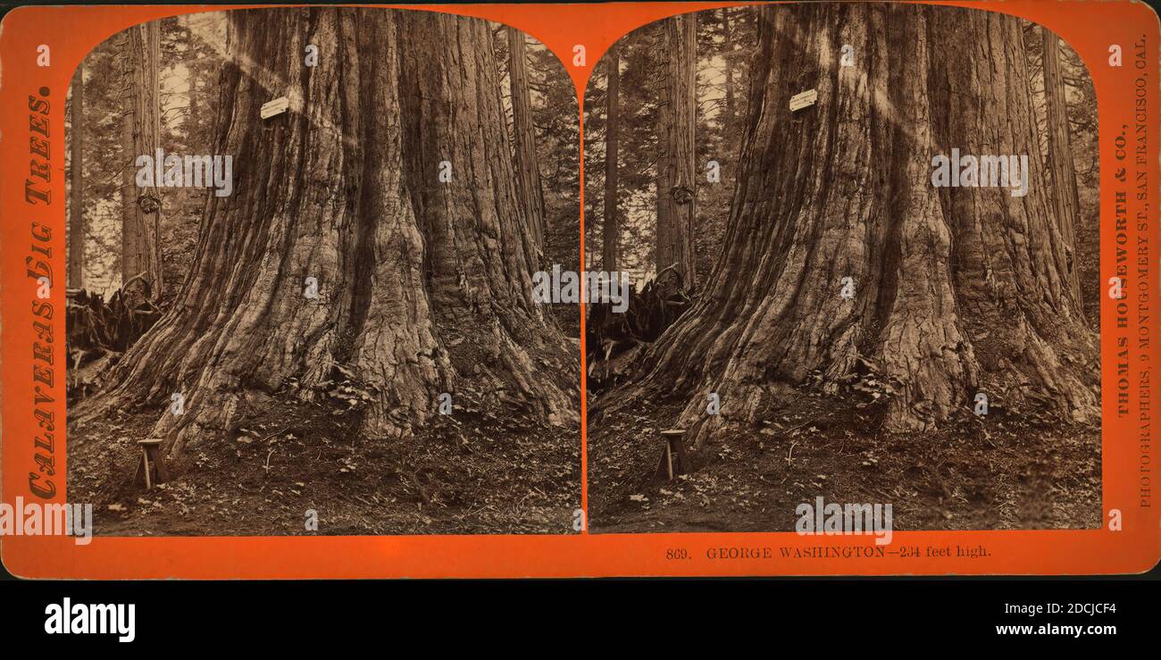 George Washington, 234 feet high., still image, Stereographs, 1850 ...