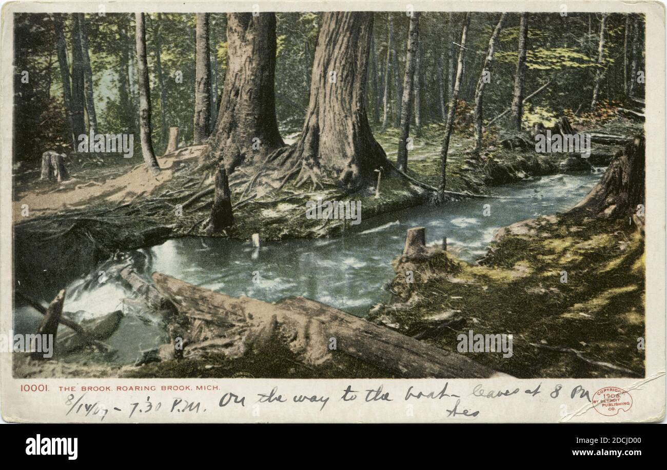 The Brook, Roaring Brook, Mich., still image, Postcards, 1898 - 1931 ...