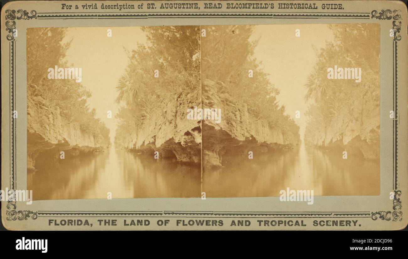 Canal in the southern Part of Florida., still image, Stereographs, 1850 ...