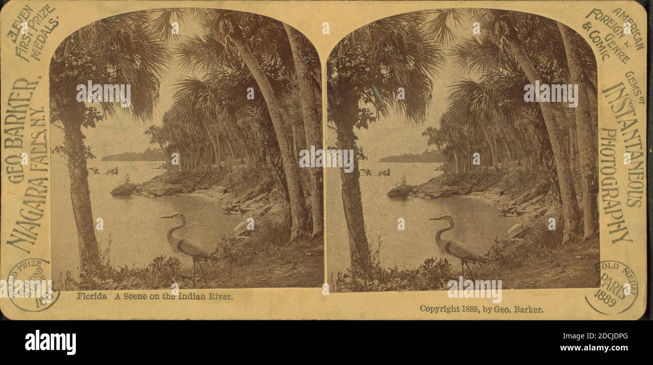 A scene on the Indian River, Florida., still image, Stereographs, 1850 ...