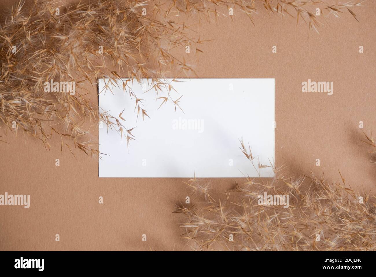 Business card template on beige background with Stock Photo - Alamy