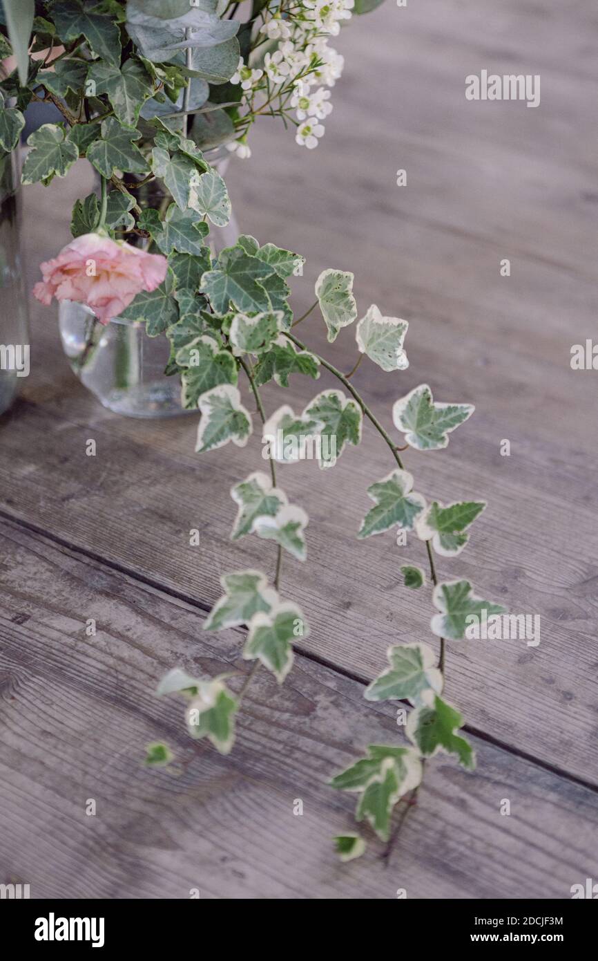 Wedding decor detail with ivy and pink flower Stock Photo - Alamy
