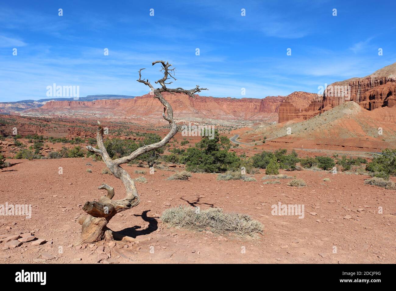 beautiful landscape in Utah USA red sandstone Stock Photo - Alamy