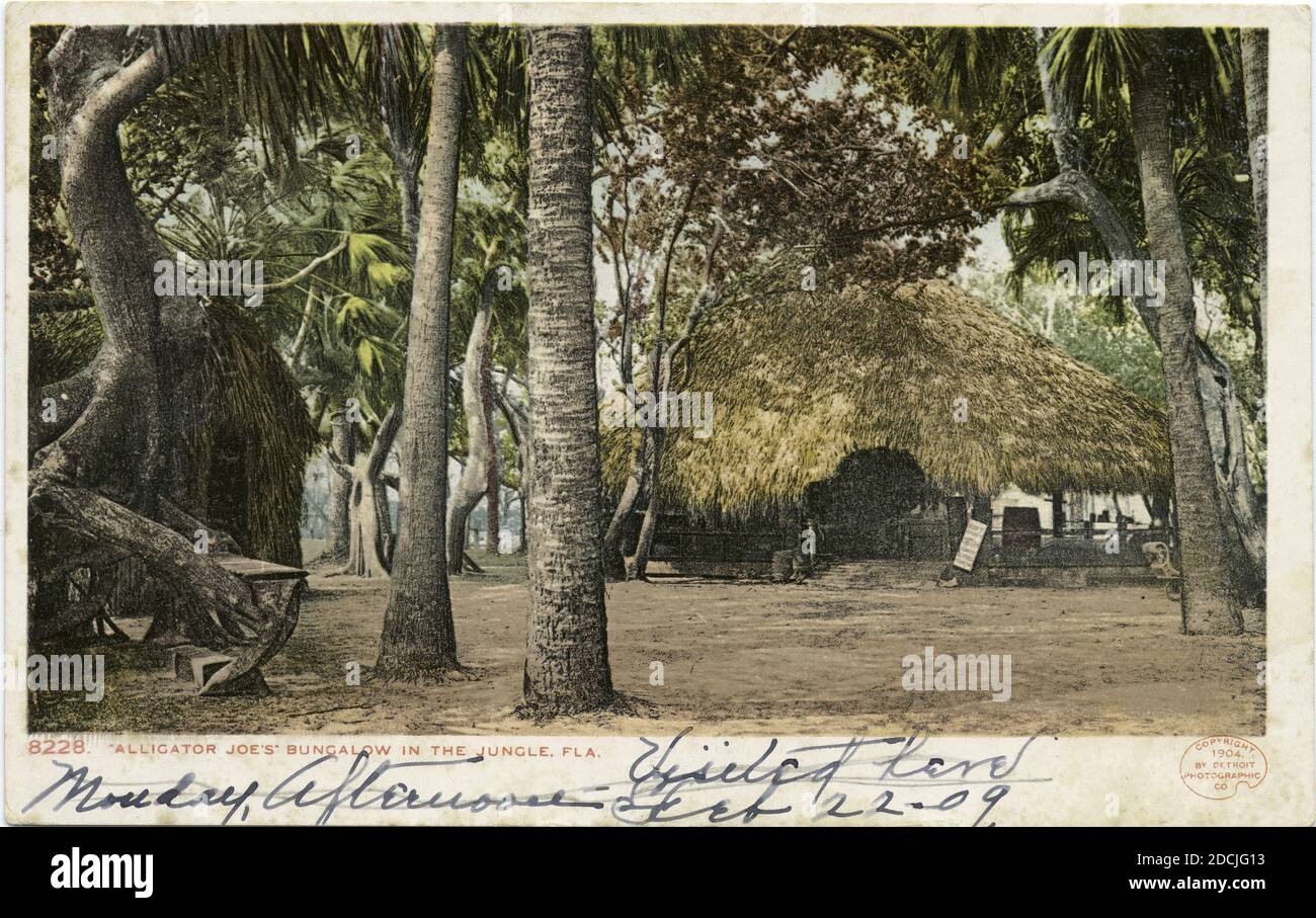 Alligator Joe's Bungalow in the Jungle, Palm Beach, Fla., still image ...