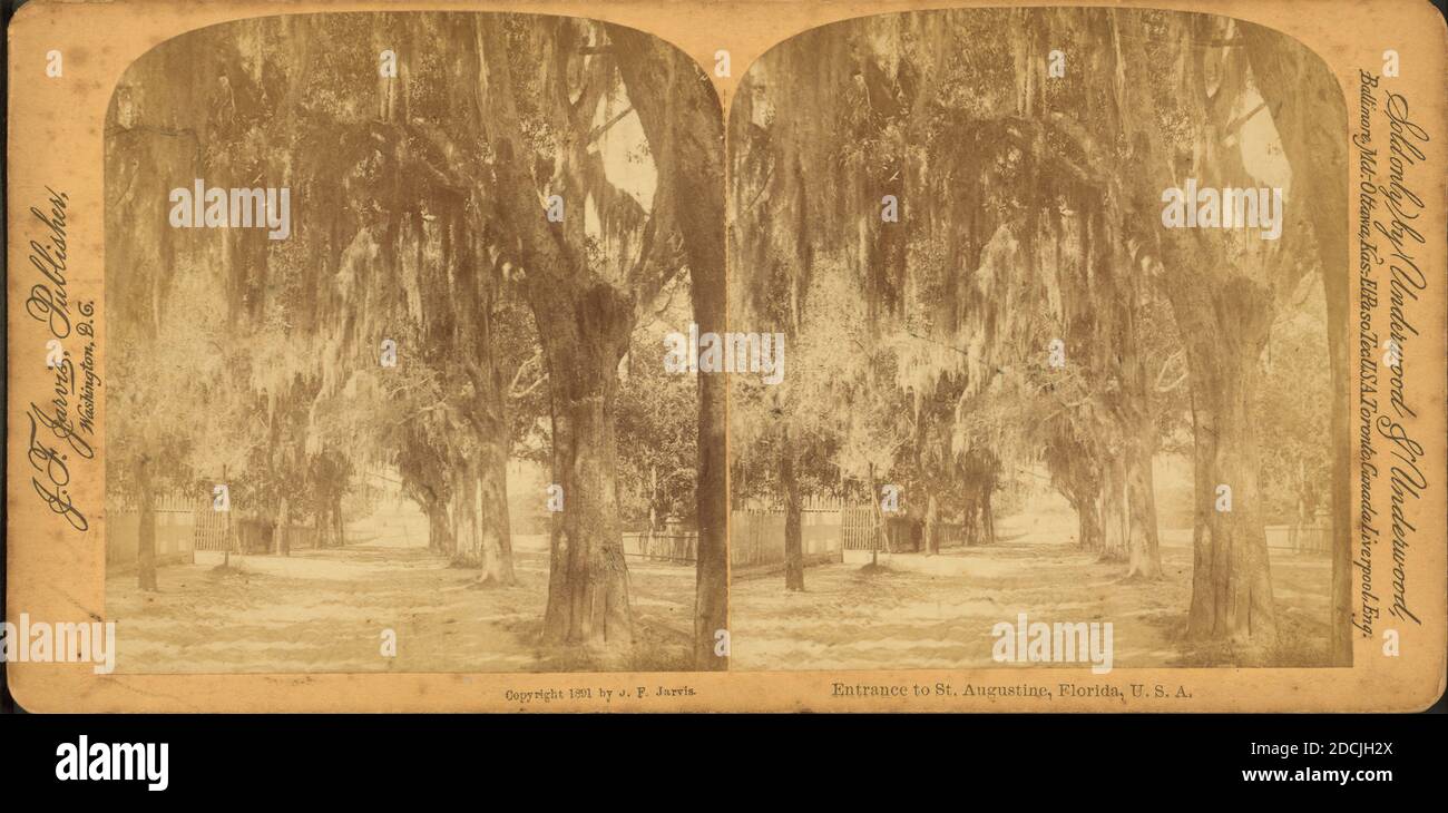 Entrance to St. Augustine, Florida., still image, Stereographs, 1850 ...