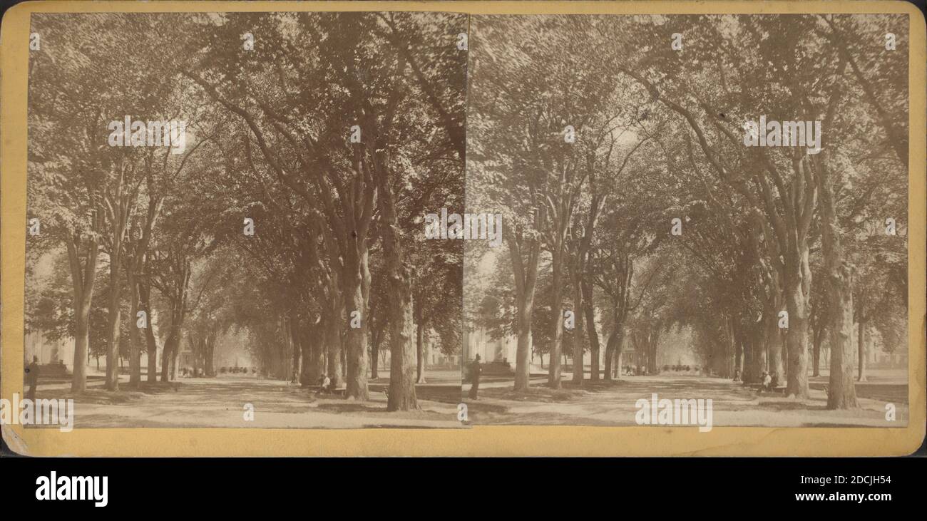 Temple St., still image, Stereographs, 1875, Bundy, J.K. (Joseph K.) (b ...