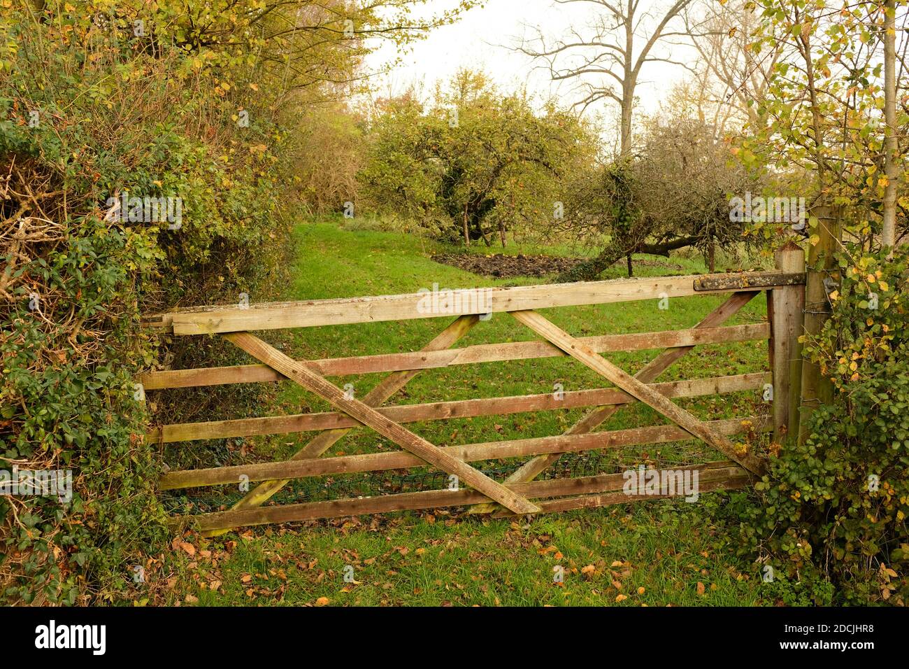 5 Bar Gate High Resolution Stock Photography and Images - Alamy