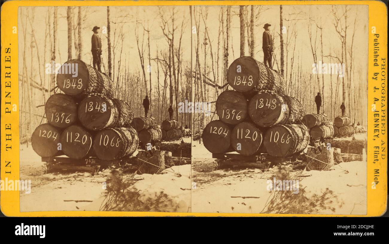 Champion a hi-res stock photography and images - Alamy