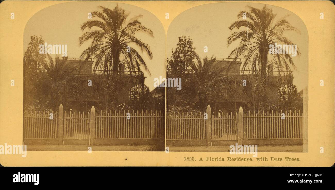 A Florida Residence with Date Trees., still image, Stereographs, 1850 ...