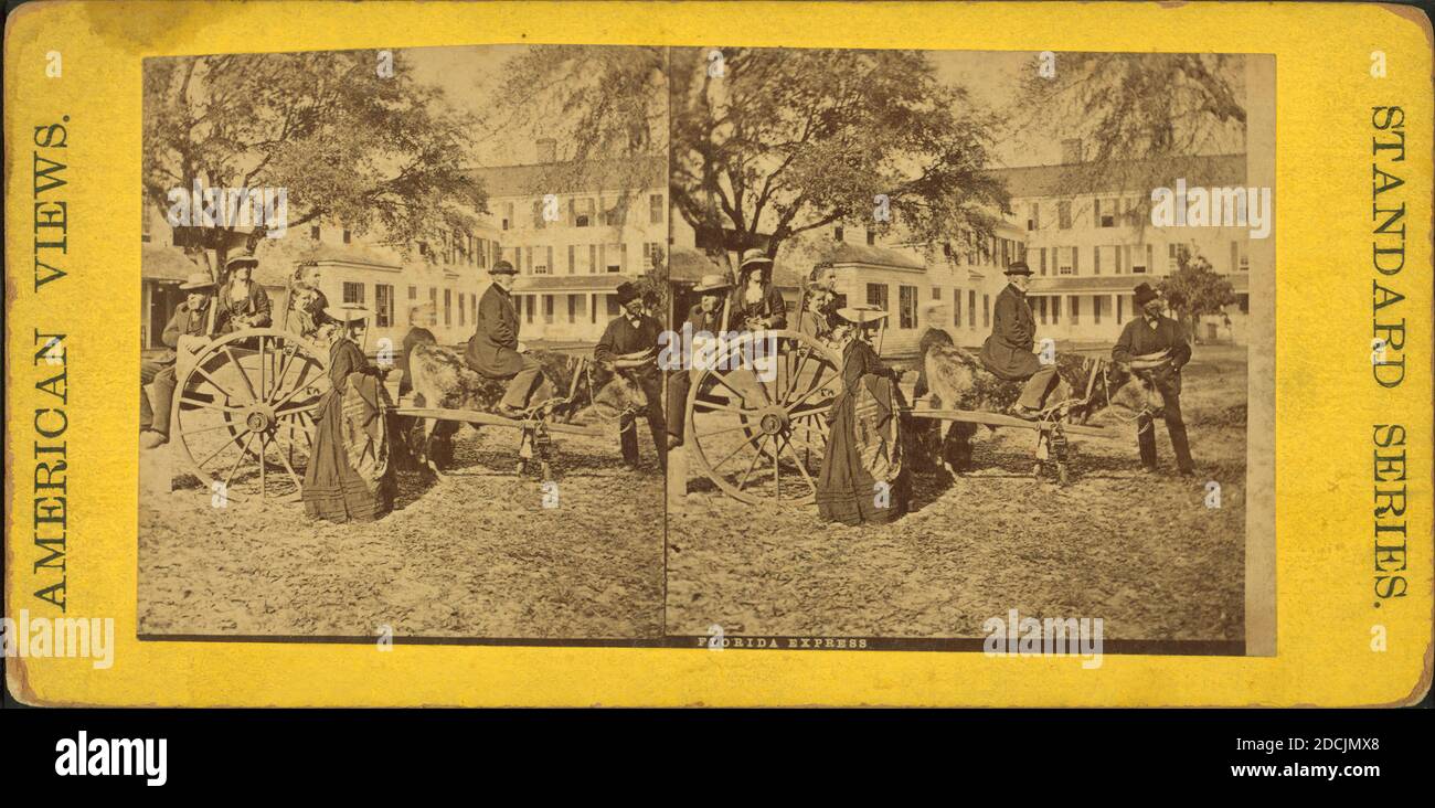 Florida Express., still image, Stereographs, 1850 - 1930 Stock Photo ...