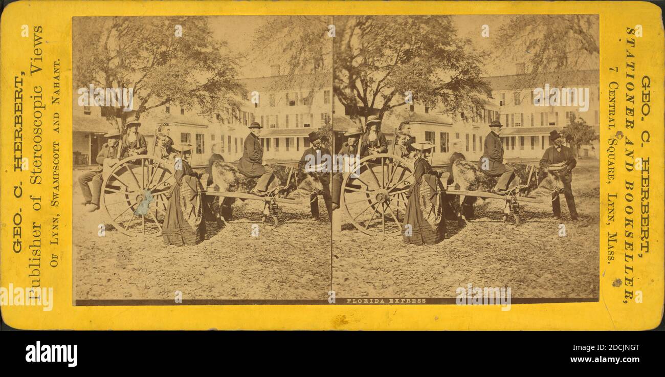 Florida Express., still image, Stereographs, 1850 - 1930 Stock Photo ...