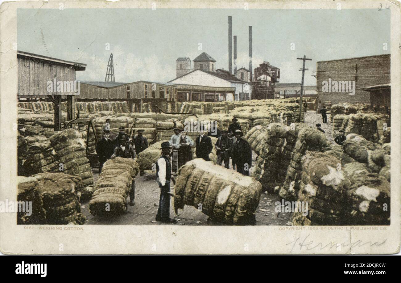 Weighing cotton hi-res stock photography and images - Alamy