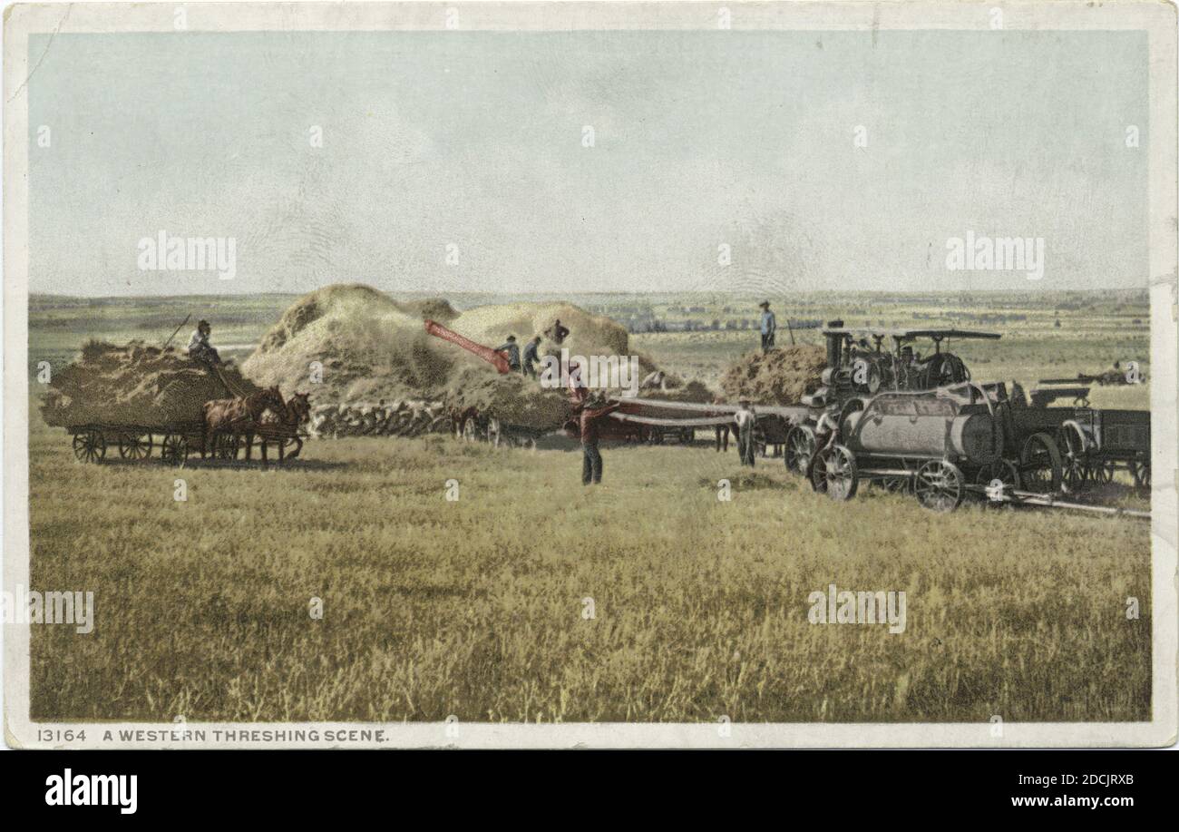 A Western Threshing Scene, still image, Postcards, 1898 - 1931 Stock ...