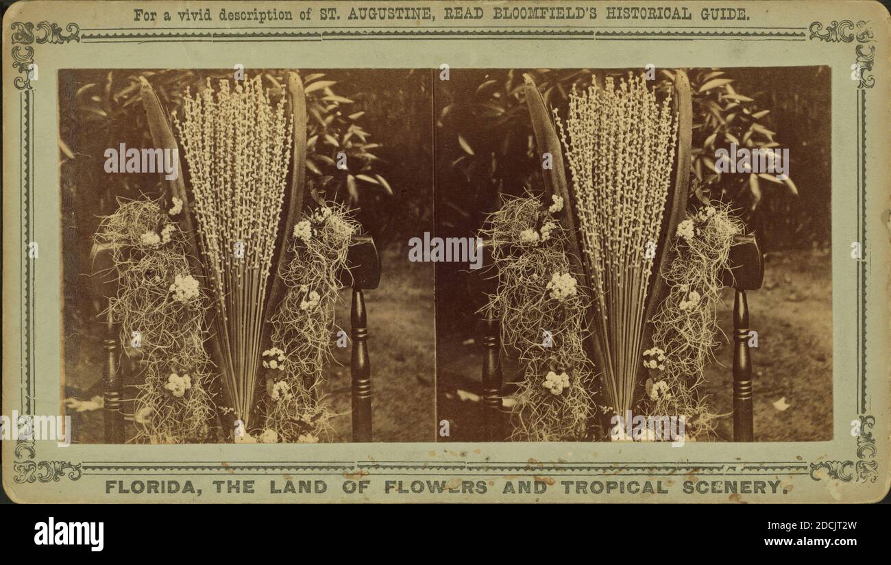 Image date hi-res stock photography and images - Alamy