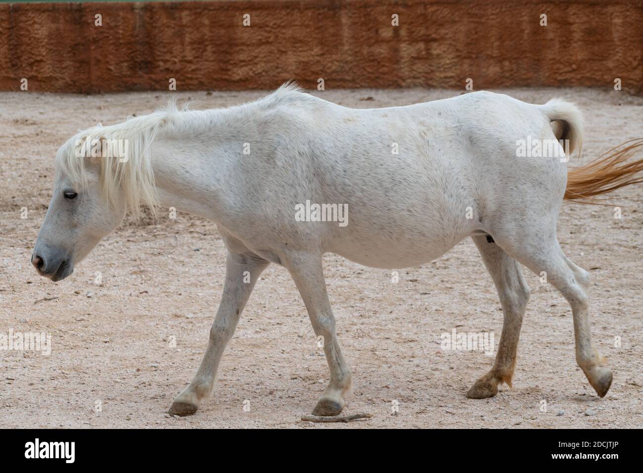 Skyrian hi-res stock photography and images - Alamy