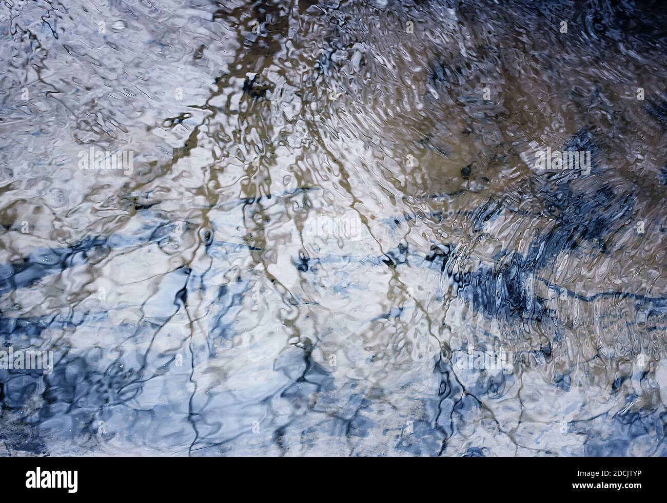 Small stream in the forest. A transparent wavy water of small rivulent ...