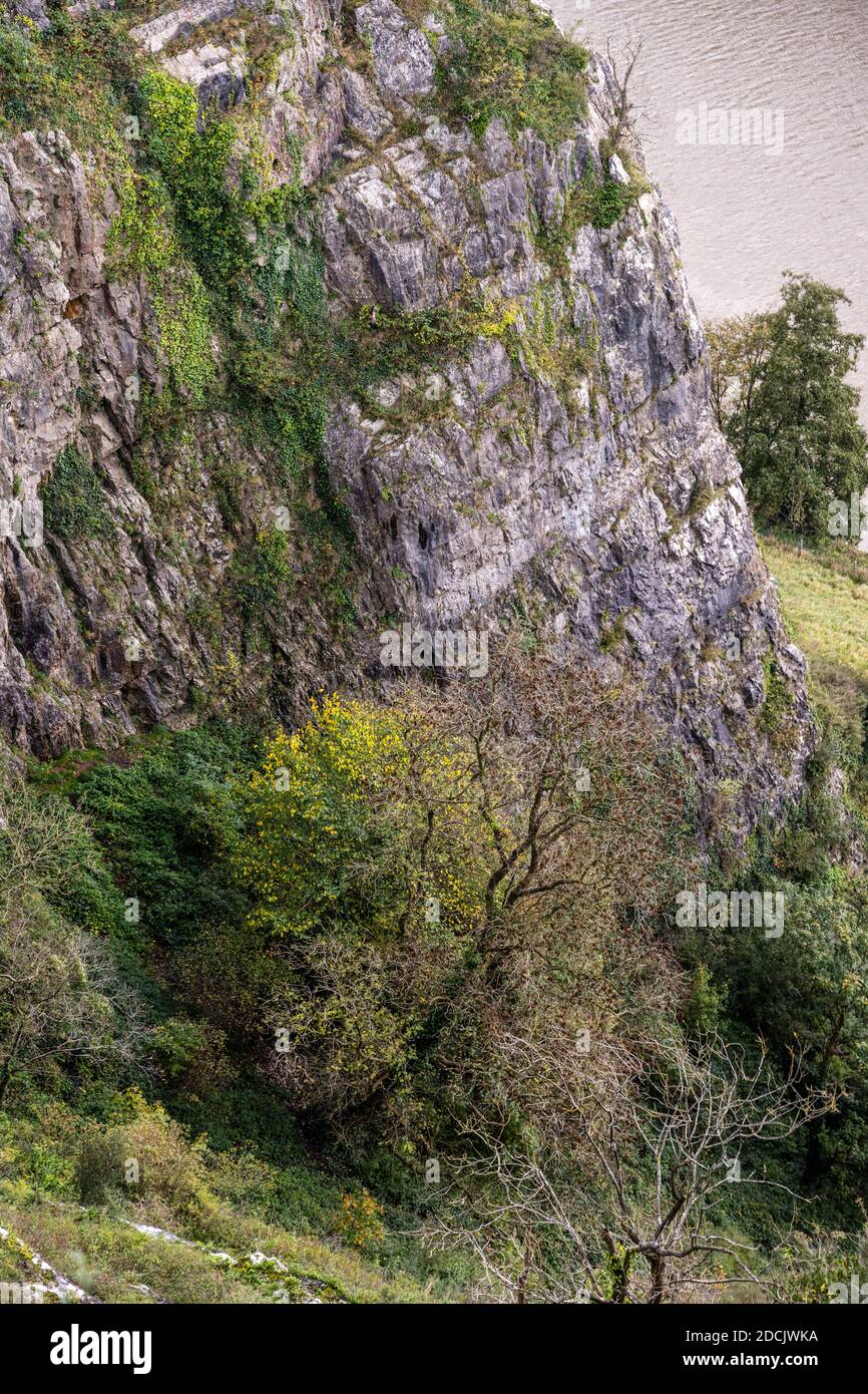 Trees display autumn colours beside the steep cliff faces of the Avon ...