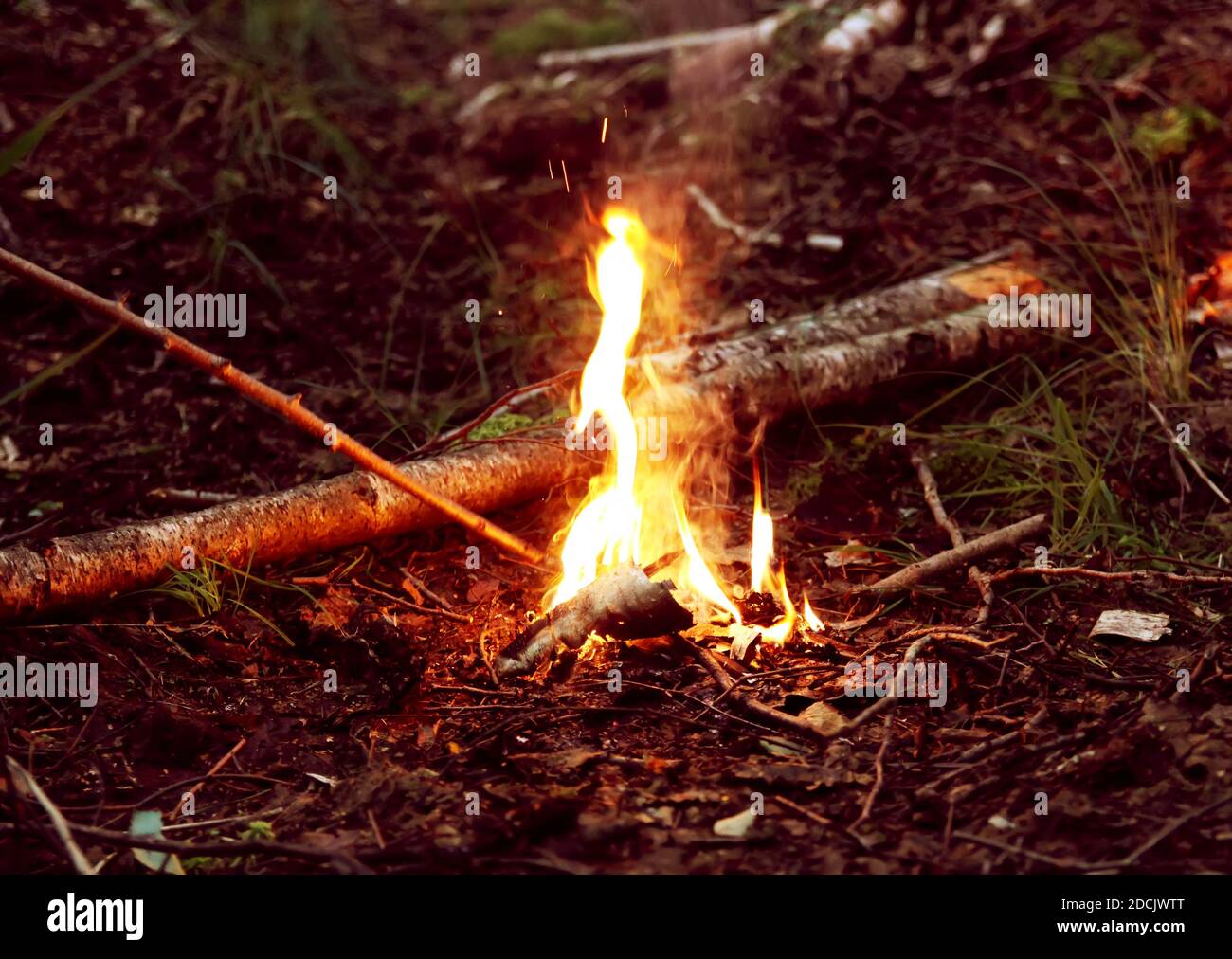 Fire in the forest. Bright flame on nature background Stock Photo - Alamy