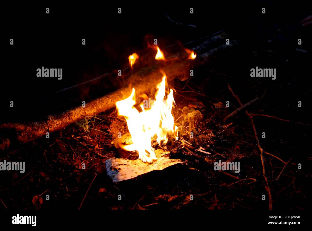 Fire in the forest. Bright flame on nature background Stock Photo - Alamy