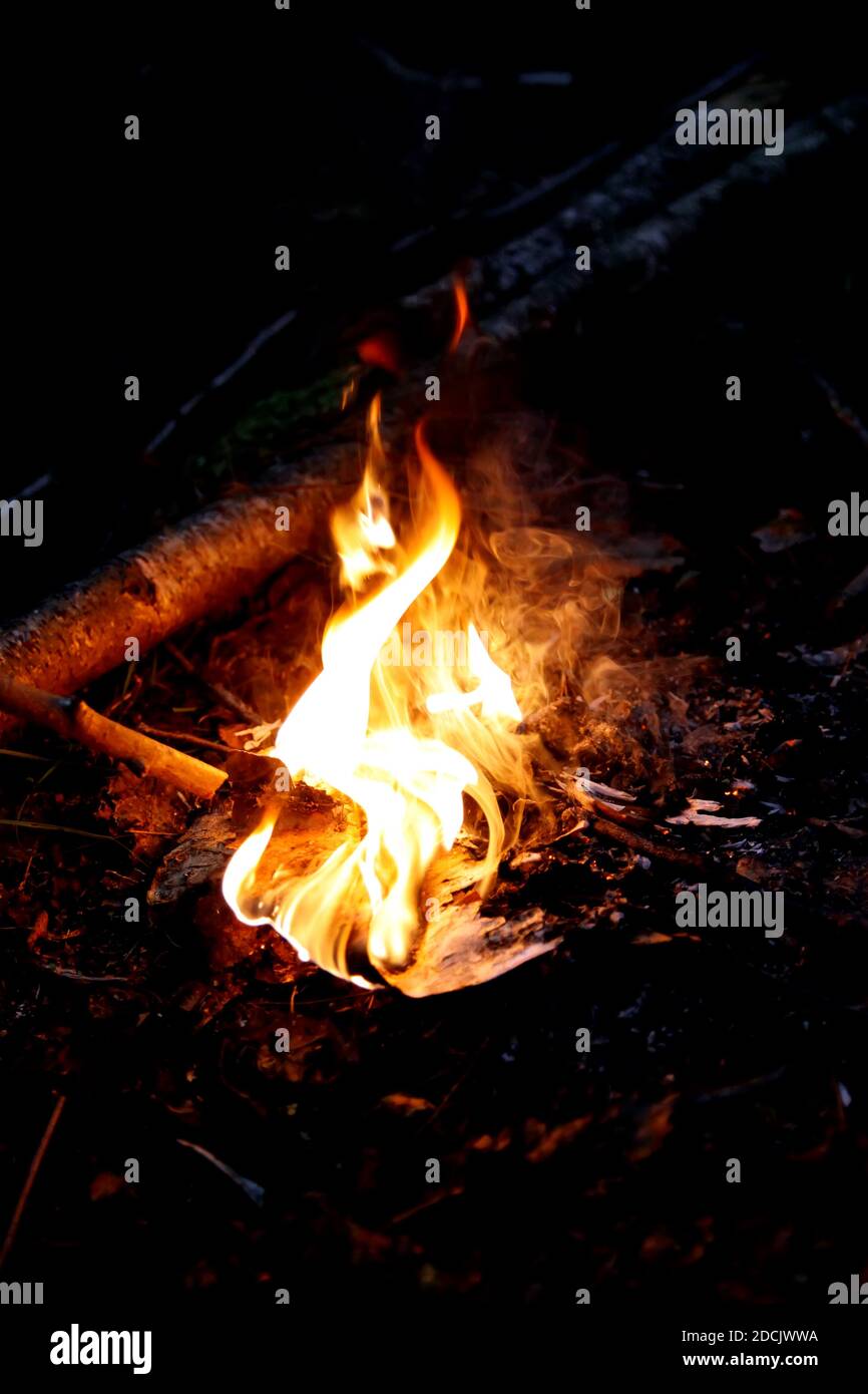 Fire in the forest. Bright flame on nature background Stock Photo - Alamy