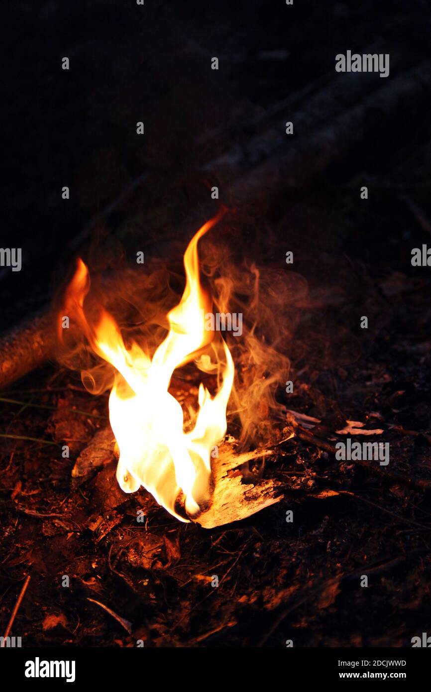 Fire in the forest. Bright flame on nature background Stock Photo - Alamy